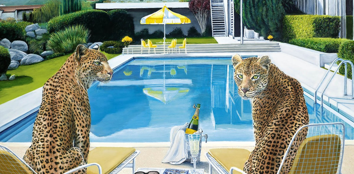 Steve Tandy Urban Wildlife Artist | The Rose Gallery