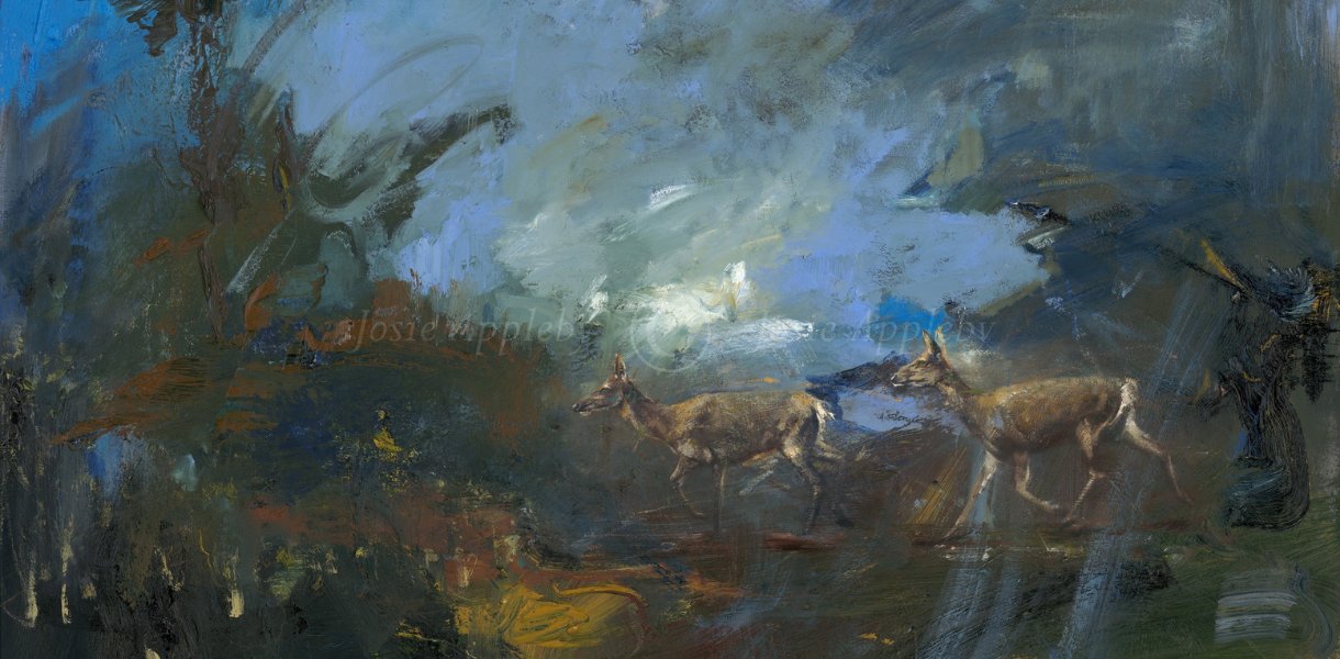 Josie Appleby | Animal & Equestrian Artwork | The Rose Gallery