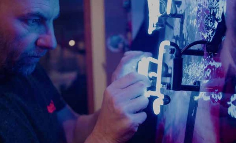 Exclusive Dan Pearce | The Rose Gallery