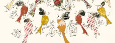 Anna Wright | The Rose Gallery