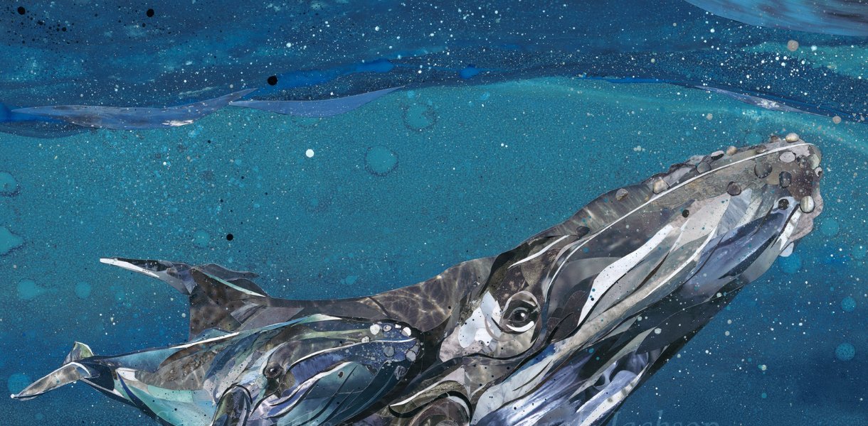 Sarah Jackson | Colourful Wildlife Prints | The Rose Gallery