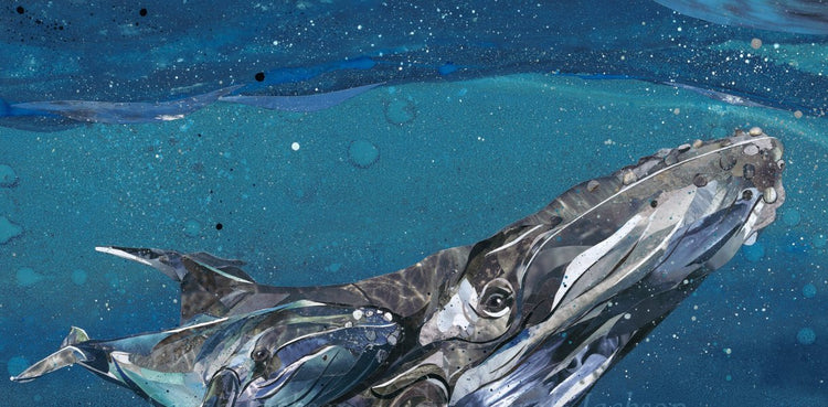 Sarah Jackson | Colourful Wildlife Prints | The Rose Gallery