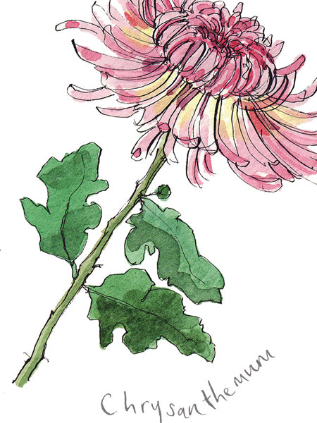 Madeleine Floyd | The Rose Gallery