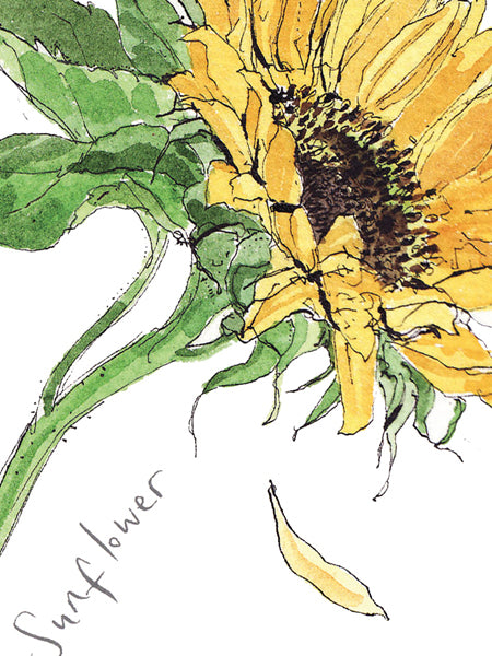 Madeleine Floyd | The Rose Gallery