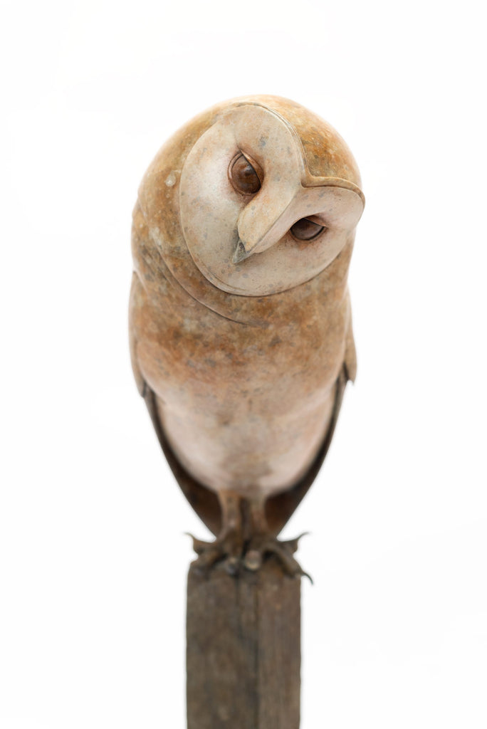 Barn Owl | Adam Binder British Wildlife Sculpture | The Rose Gallery