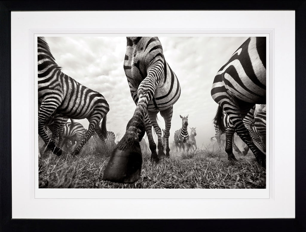 Onward | Anup Shah | Photography Artwork with Free UK Delivery – The ...
