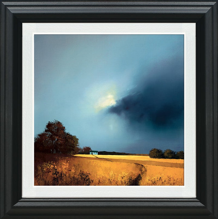 Barry Hilton | The Rose Gallery