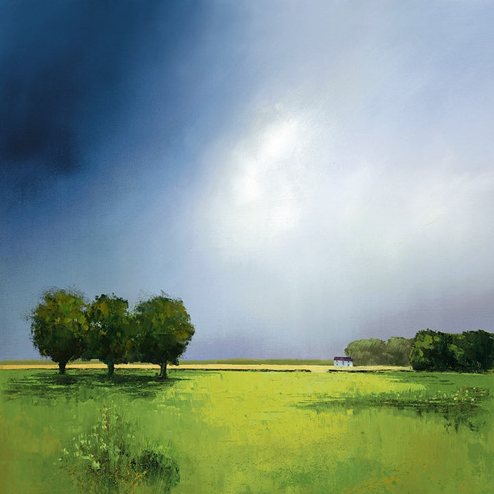 Barry Hilton | The Rose Gallery