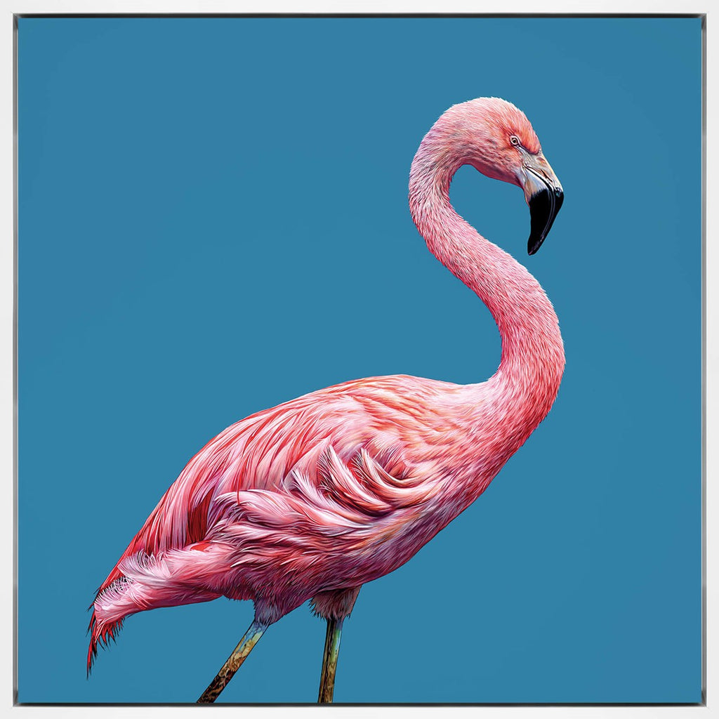 Strike a Pose (Flamingo) | Christopher Green | Contemporary Wildlife ...