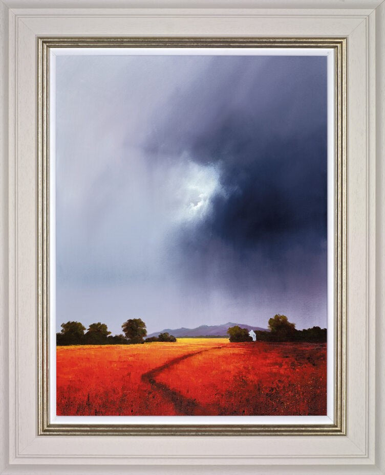 Barry Hilton | The Rose Gallery