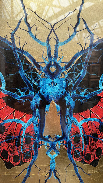 Formation Butterfly | Maxim Artwork | The Rose Gallery