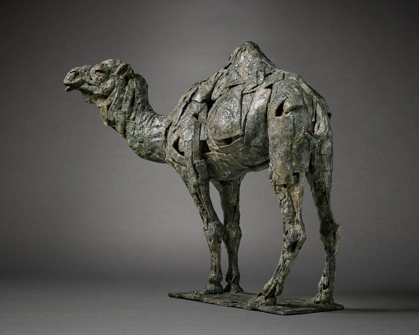 Dromedary Camel | Fred Gordon | Sculpture | The Rose Gallery