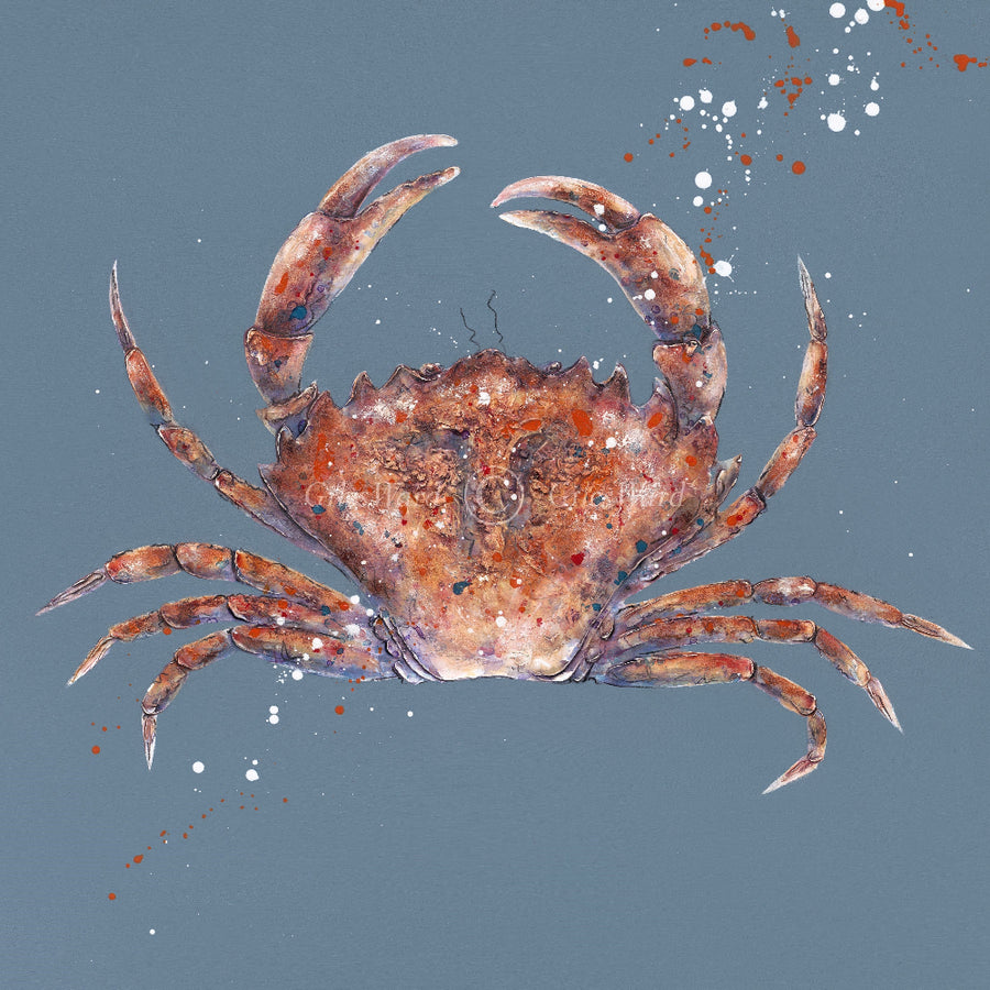 Giles Ward | Marine Sea Life Artist | The Rose Gallery