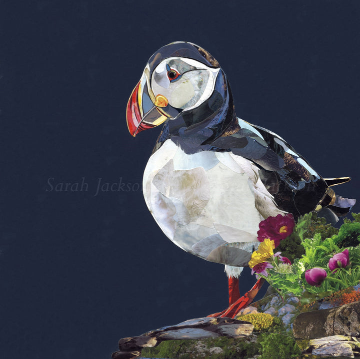 Sarah Jackson | Colourful Wildlife Prints | The Rose Gallery