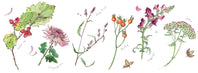 Madeleine Floyd | Illustrative Art | Limited Editions | The Rose Gallery