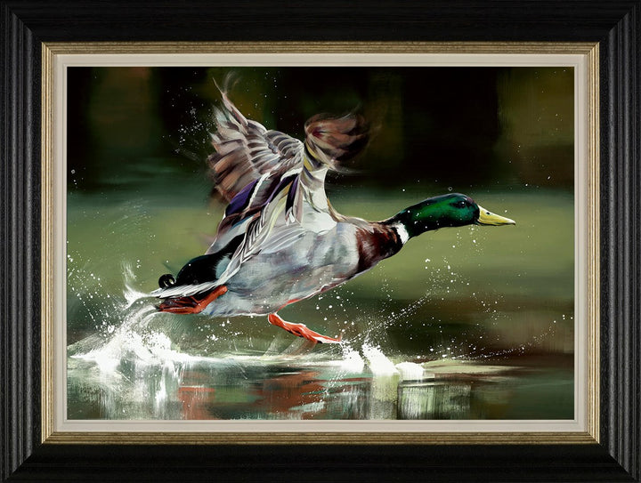 Debbie Boon | The Rose Gallery