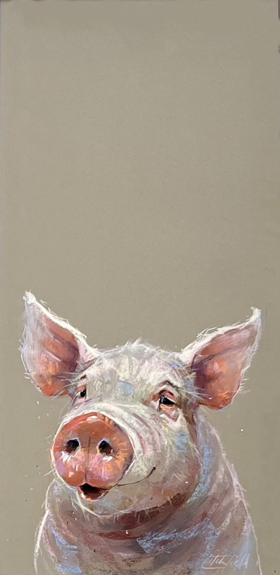 Nicky Litchfield Animal Artist | The Rose Gallery