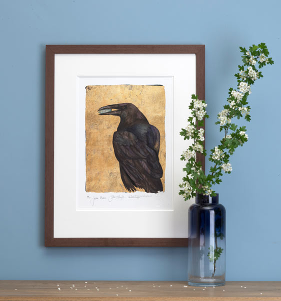 Raven - The Lost Words | Jackie Morris & Robert MacFarlane | Free UK ...