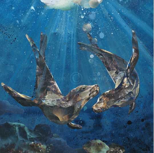 Sealife Artwork | Underwater Wildlife & Ocean Animals | The Rose Gallery
