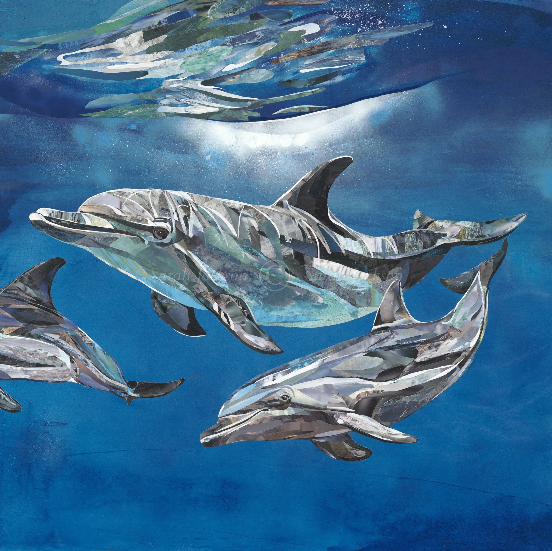 Sealife Artwork | Underwater Wildlife & Ocean Animals | The Rose Gallery