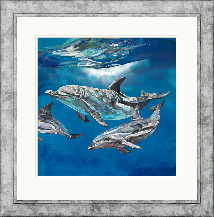 Sarah Jackson | Colourful Wildlife Prints | The Rose Gallery