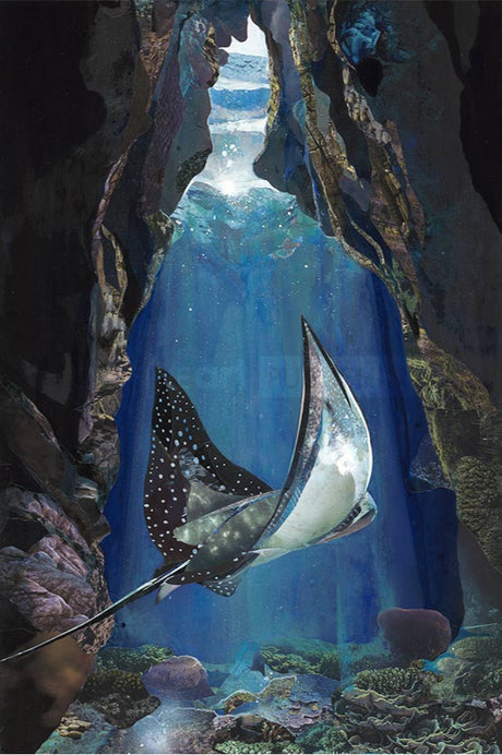 Sarah Jackson | Sea Life & Animal Art | The Rose Gallery