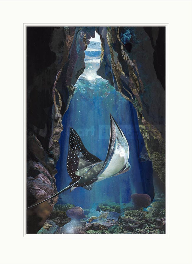 Sarah Jackson | Colourful Wildlife Prints | The Rose Gallery