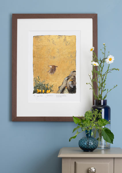 Wren - The Lost Words | Jackie Morris & Robert MacFarlane | Free UK ...