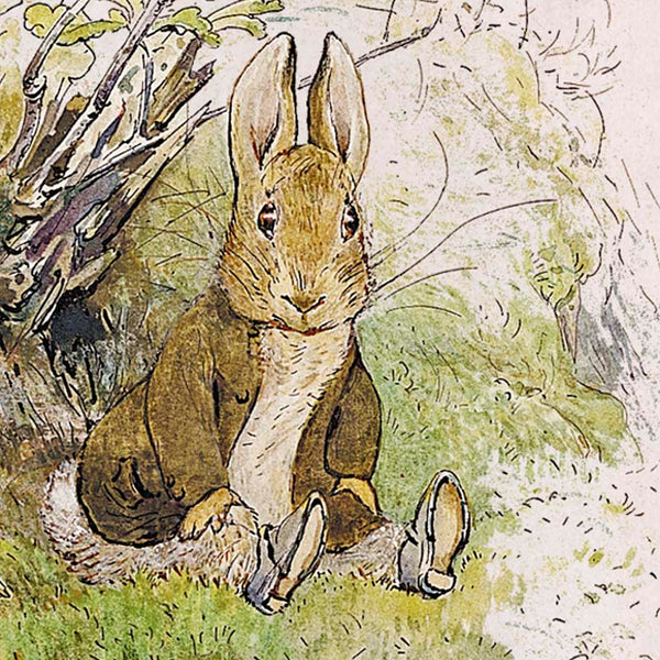 One Morning a Little Rabbit | Beatrix Potter Artwork – The Rose Gallery