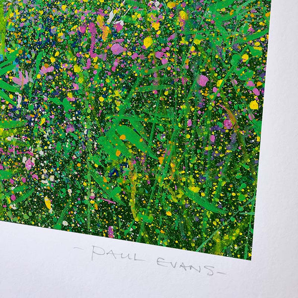 Spring Meadow | Paul Evans | Limited Edition Artwork with Free UK ...