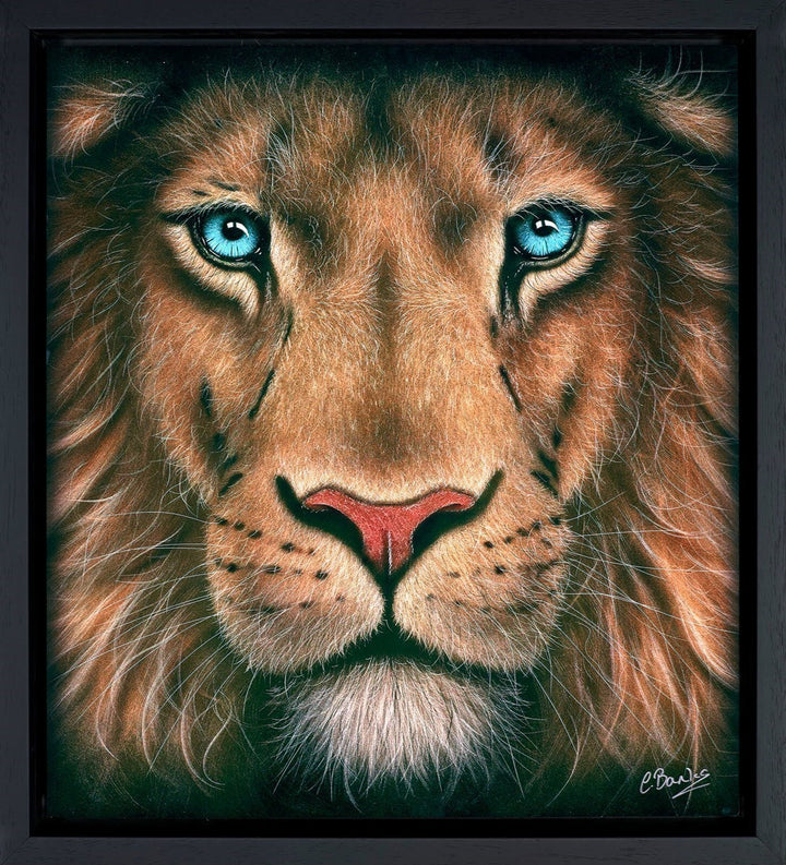 Colin Banks Art | Limited Edition Signed Artwork | The Rose Gallery