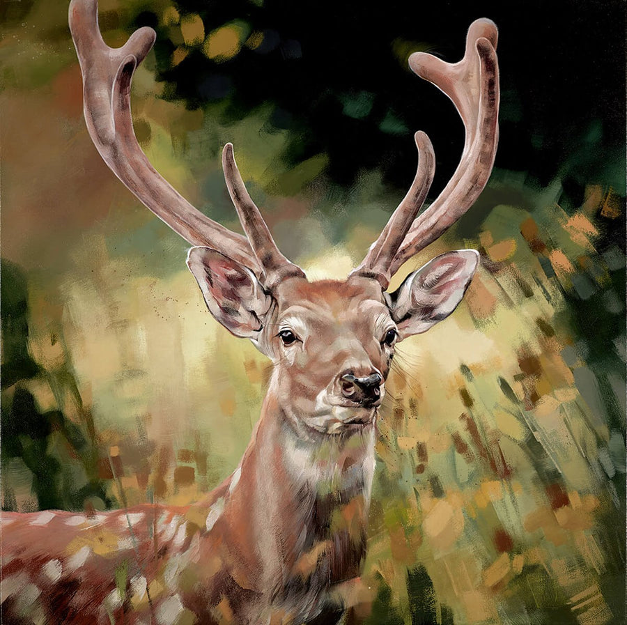 Debbie Boon | The Rose Gallery