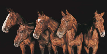 Debbie Boon | The Rose Gallery