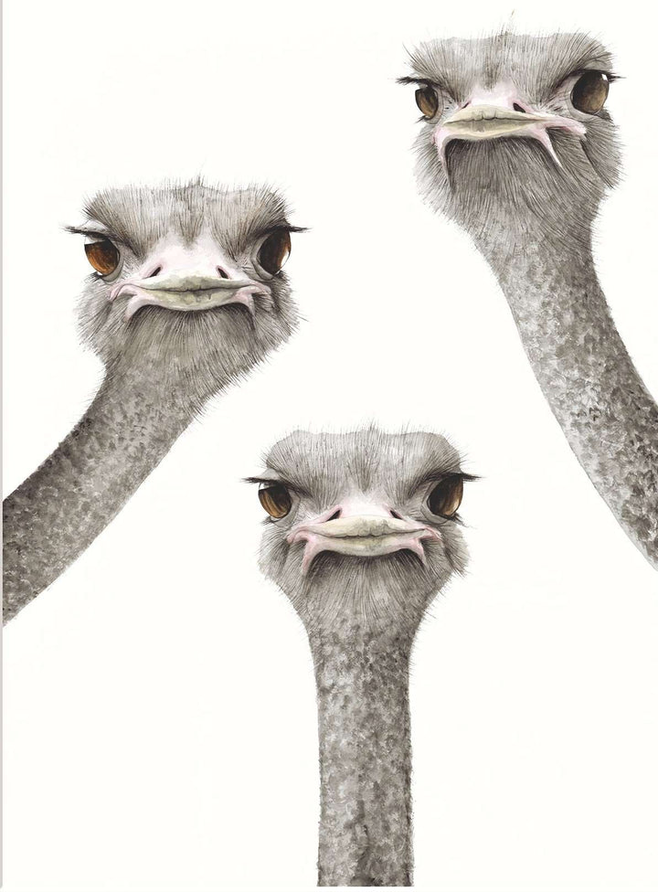 Dominique Salm | The Rose Gallery