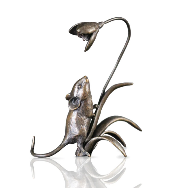 Richard Cooper | The Rose Gallery
