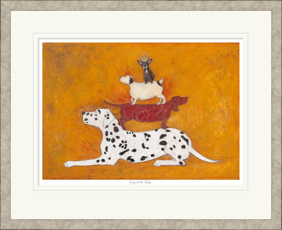 Sam Toft Art Collections | Free UK Delivery | The Rose Gallery