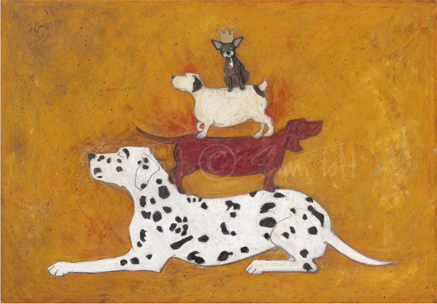 Sam Toft Art Collections | Free UK Delivery | The Rose Gallery